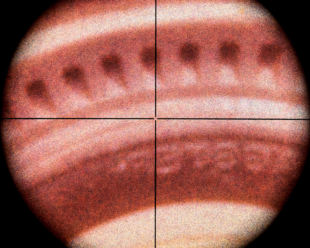 High Resolution Drum Scanning - Large and 35mm Format Negatives and Slides